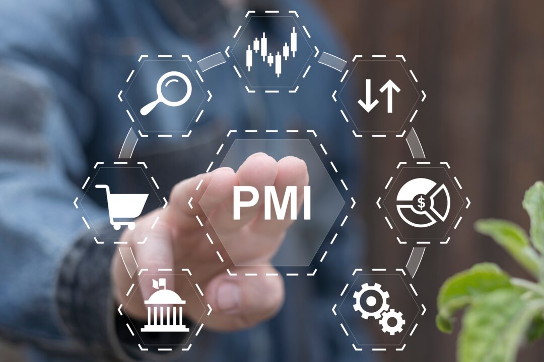 PMI: cosa sono, quante sono in Italia, le sfide della digitalizzazione ...